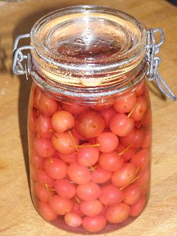 Mot-clé - digestif - Smablog